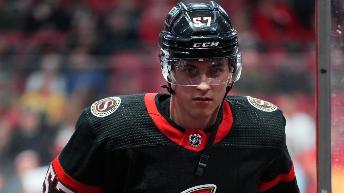 Senators' Shane Pinto suspended for 41 games for illegal betting - 7sport